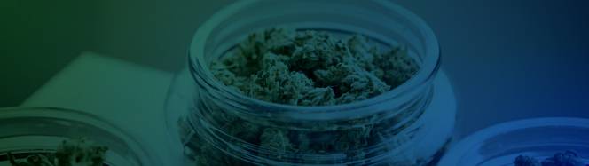 Introducing PG Feed | Pacific Grass