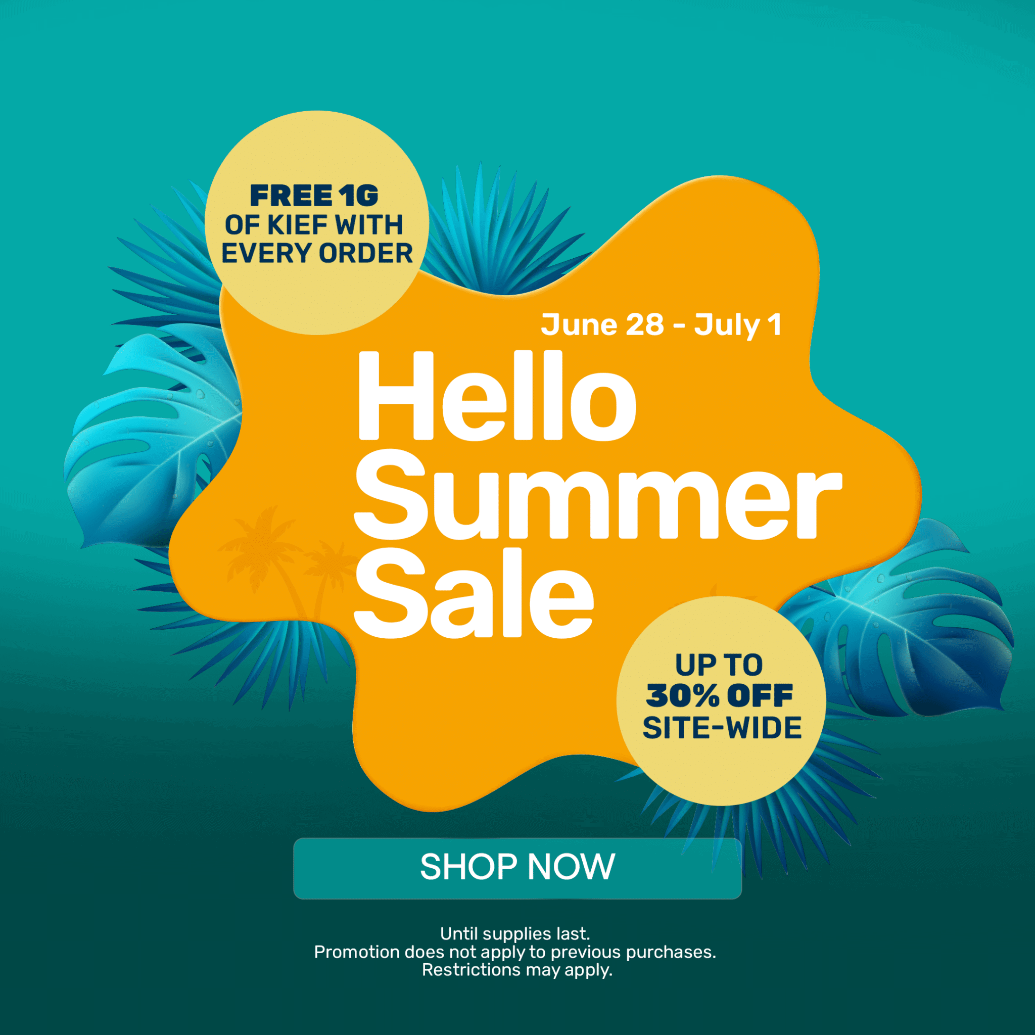 Hello Summer Sale | Pacific Grass